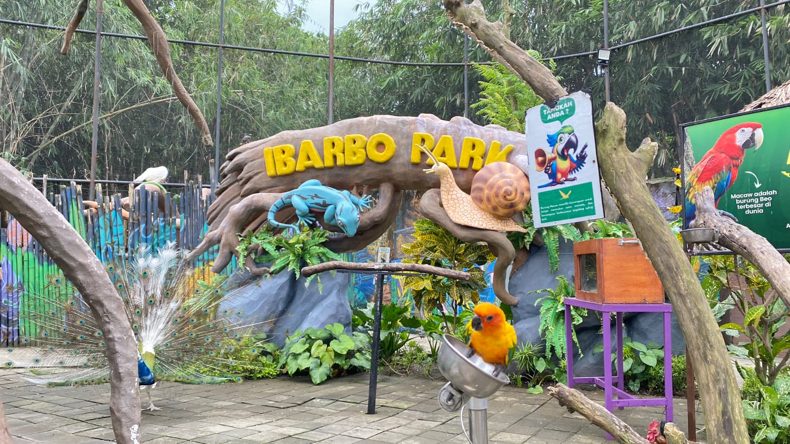 Ibarbo Park, Destinasi Wisata Edukasi Keluarga yang Menggabungkan ...